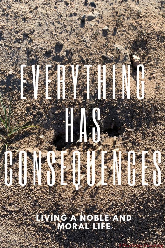 Everything has consequences - #NextSteps Coaching